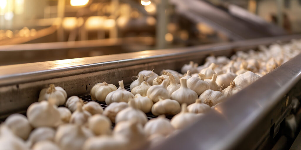 Belt Motion – Conveyor Belts & Structures